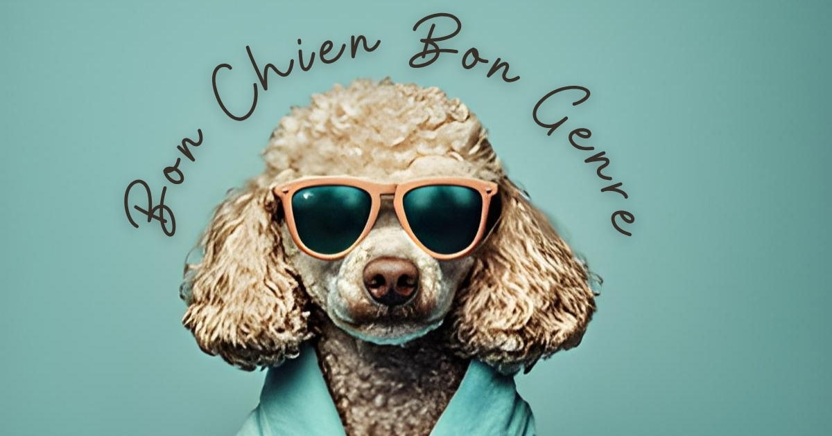 Salon de toilettage chien : Bon Chien, Bon Genre